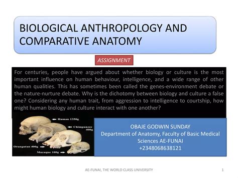 Ana 4 Biological Anthropology And Comparative Anatomy Ppt