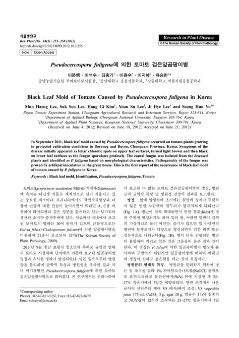 Pdf Black Leaf Mold Of Tomato Caused By Pseudocercospora Fuligena In