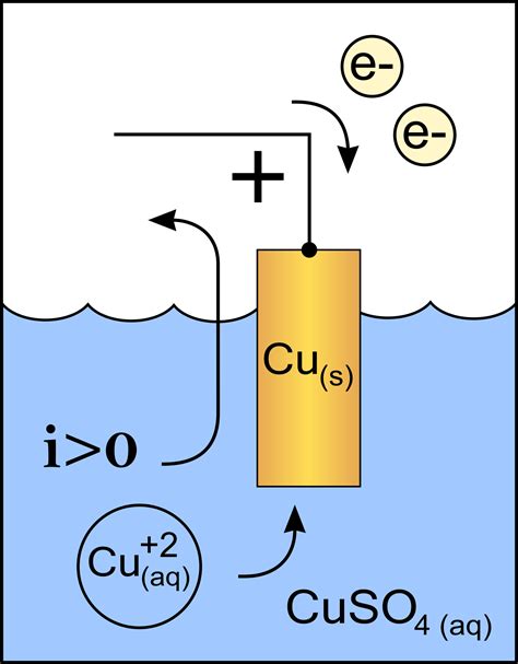Cathode Is Positive Or Negative Gavin Gray