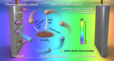环境学院邱珊教授团队阐明电芬顿关键问题及未来方向