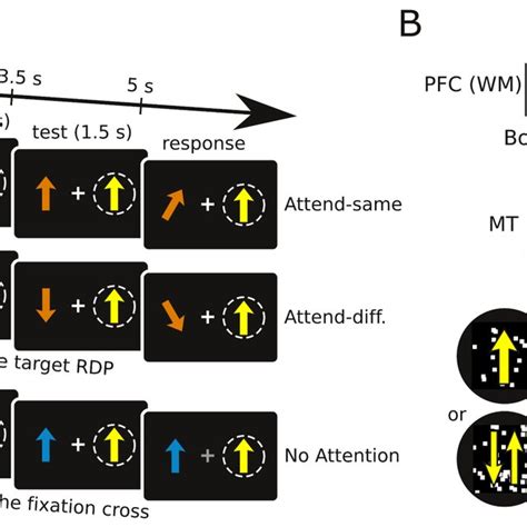 Schematic Description Of Simulated Task And Model Architecture