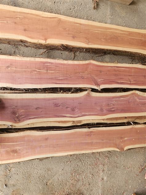 Cedar Slabs Etsy