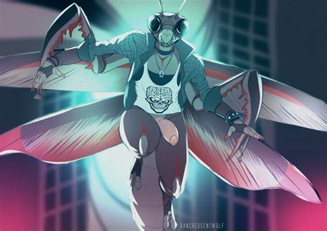 Rule 34 2024 2 Toes 4 Arms Antennae Anatomy Anthro Arthropod Arthropod Abdomen Artist Name