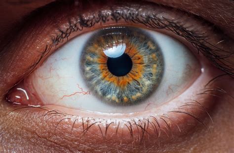 What Do Normal Eye Veins Look Like