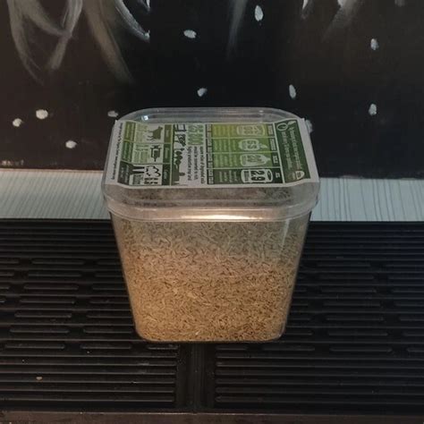 خرید و قیمت انیسون رومیبادیان رومی اورجینال ترکی درشت و سالم حجم 150