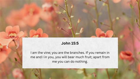Thriving In Connection Understanding The Deeper Meaning Of John 15 5