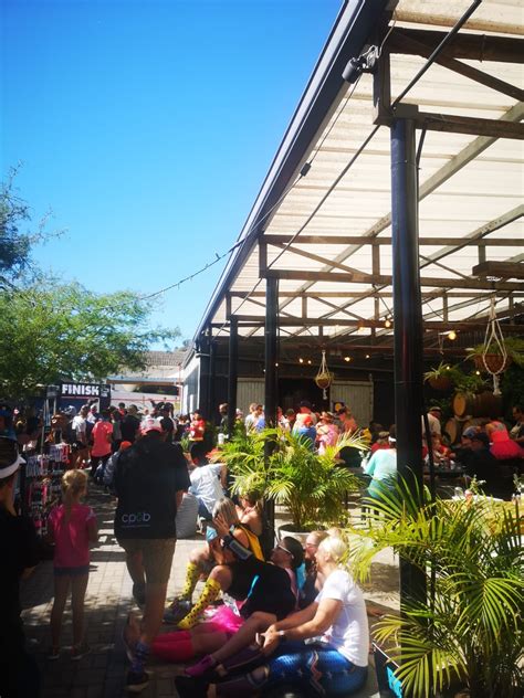 Chickys Yard Sunny Days In Chickys Yard With Big O