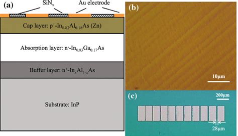Cross Section Of Sample A The Top Surface Of Epitaxial Layer B And Download Scientific