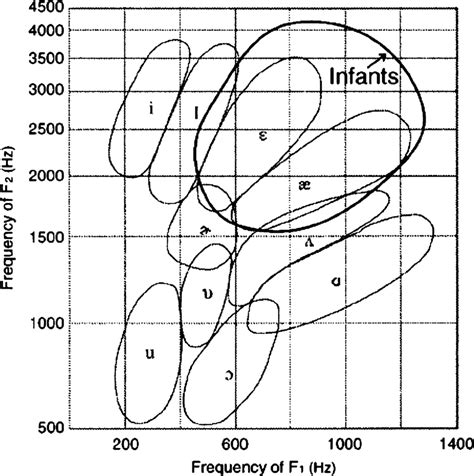 Vowel Regions Of Real Adults And Infants In 2 Dimensional Formant Space