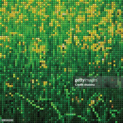 Seamless Grass Pattern Photos And Premium High Res Pictures Getty Images