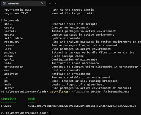 Micromambaexe Help Has No Output · Issue 2153 · Mamba Orgmamba · Github
