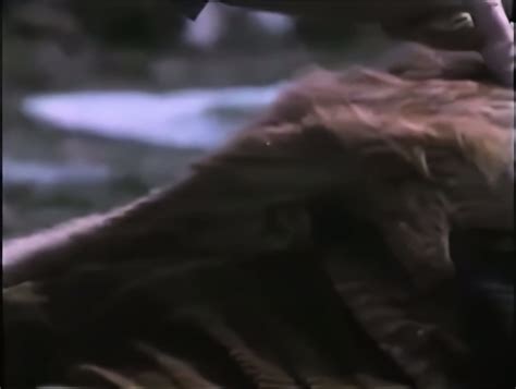 Retro Celeb Comp Vintage Oniric Not Explicit Oral Sex Scenes Elena