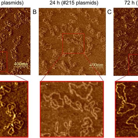 Uv Absorption Of Ectoine In Water Absorption Spectra Of 33 µm Ectoine Download Scientific