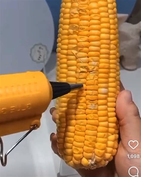 Corn Mold For Your Pleasure Rdontputyourdickinthat