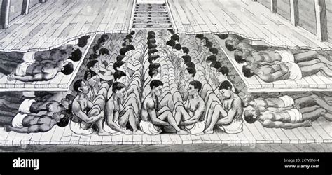 African Slaves On Ships