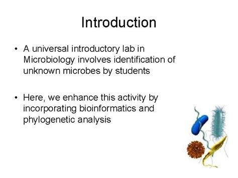 Exploring Phylogeny In The Introductory Microbiology Lab Mohammed