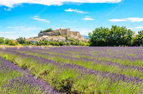 Campos De Lavanda En El Pueblo Gordes Una Pequeña Ciudad Medieval En