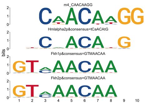 Chapter 12 Motif Analysis Meme Suite Genomic Data Analysis Course Exercises