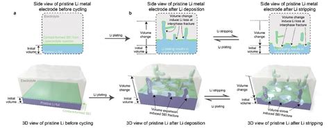 纳米高分子 高超课题组