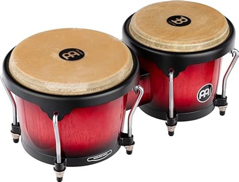 Todo Sobre Los Bongos