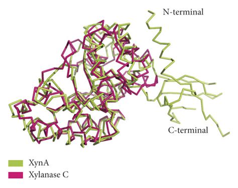 Structure Comparison A Protein Structure Comparison Of Xyna And