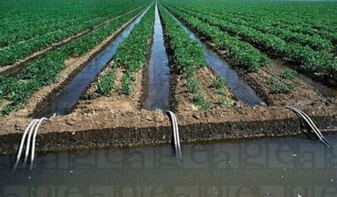 8 Time Tested Benefits Of Canal Irrigation