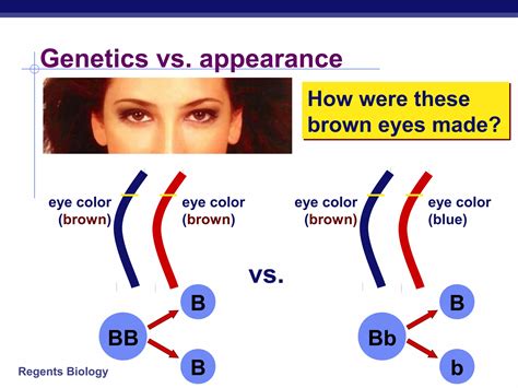 102 Classical Genetics Ppt Ppt
