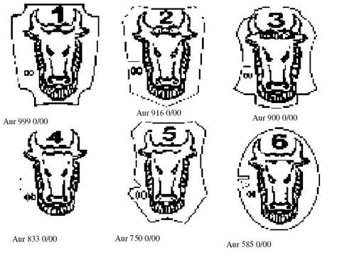 Marcare Aur Marca De Titlu Marca De Garanţie Marca De Certificare