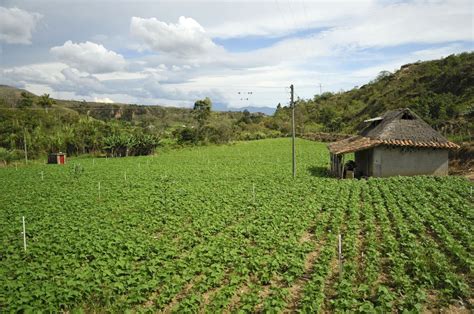 Acciones De La Palabra Y Por La Palabra Comunidad Rural Y Urbana