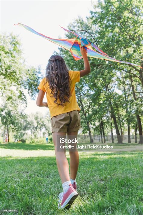 Vista Posterior De Lindo Niño Jugando Con Colorido Cometa En El Parque Foto De Stock Y Más Banco