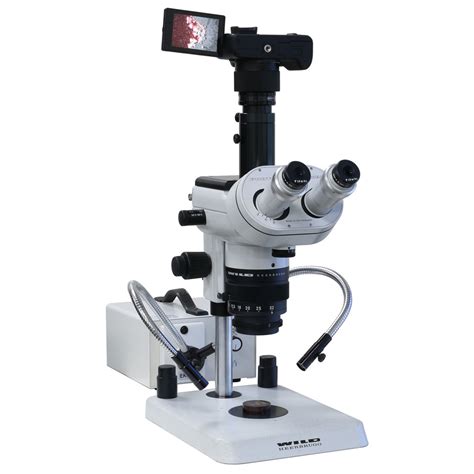 Wild M400 Macroscope Used With Mm50 M4 Dslr Camera System Martin Microscope