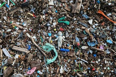 Scientists Found Bacteria That Eats Plastic