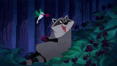 Raccoons