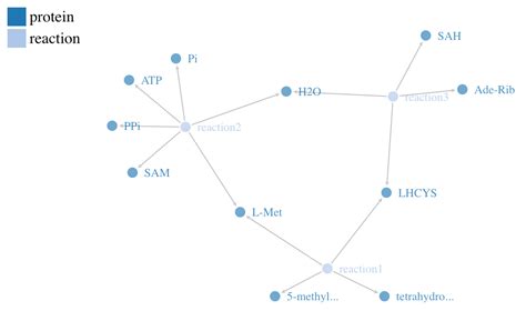 R Networkd3 Doesnt Draw The Expected Interactive Network Stack