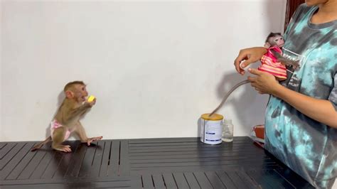 Jasmine Xtreamly An Mom Late For Milk Youtube