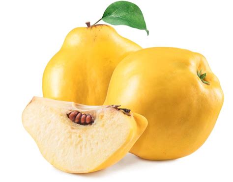 Ürünlerimiz Aydaş Tarım