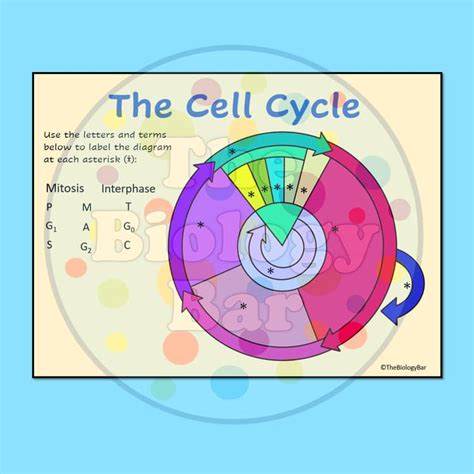 Cell Cycle Interactive Powerpoint Mitosis Interphase And Dna