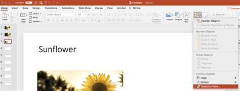 Reading Order CTI Accessibility Guide