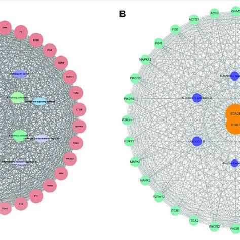 Network Diagram Constructed By Cytoscape A Network Diagram Of
