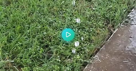Super Slowmo Rain Hitting Ground Album On Imgur