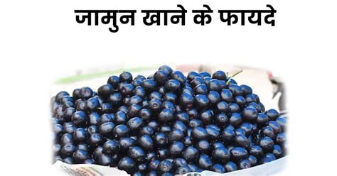 Jamun Ke Fayde Benefits Of Java Plum Jamun Ke Ayurvedik Gun Dharam