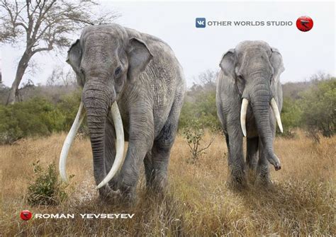 Palaeoloxodon Recki Доисторический Животные Фэнтези