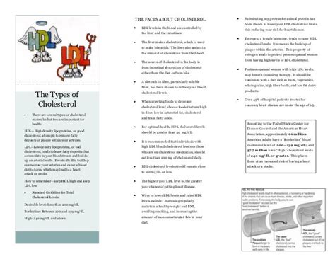 Cholesterol Brochure