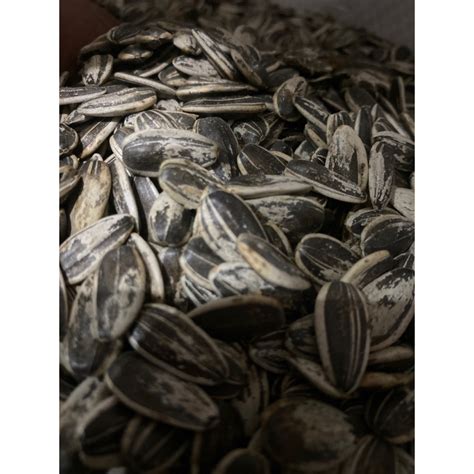 Jual Kuaci Besar Kemasan 1kg Kwaci Biji Matahari Kuaci Jumbo Pakan Paruh Bengkok Pakan Lovebird