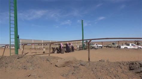 إعمارلسيد عرنون مرضي العرنون Youtube