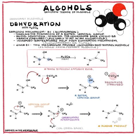 Dehydration Of Alcohol