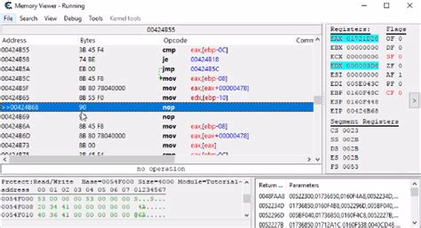 Cheat Engine View Topic Question About Bytes Column In Disassembler