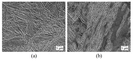Fluxtrol Influence Of Vanadium Microalloying On The Microstructure Of