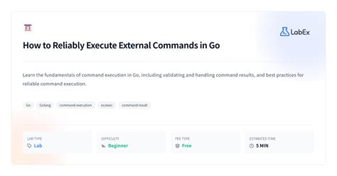 How To Reliably Execute External Commands In Go Labex