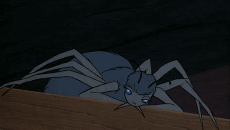 Charlottes Web Spider Dies